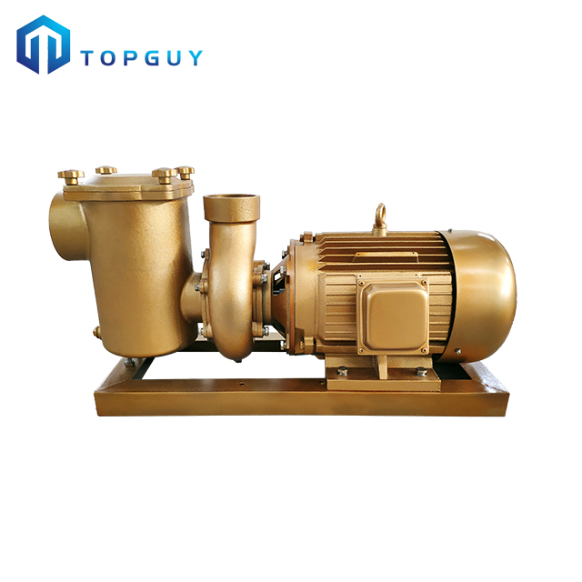 BP100-380V/10HPCast Copper Swimming Pool Pump Registered Tademark ...